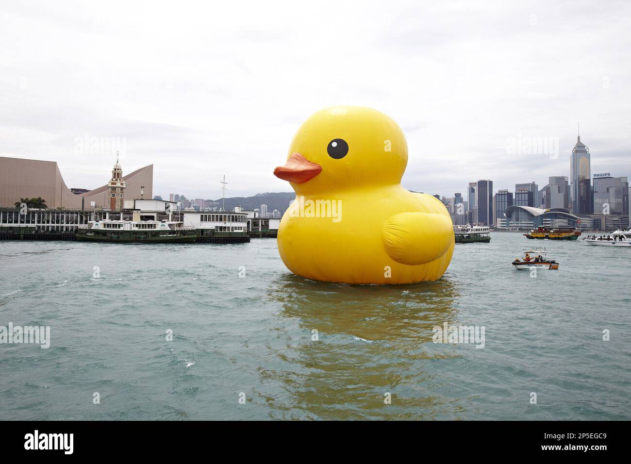 Rubber Duck World Tour Exhibition was held in Hong Kong, China on ...