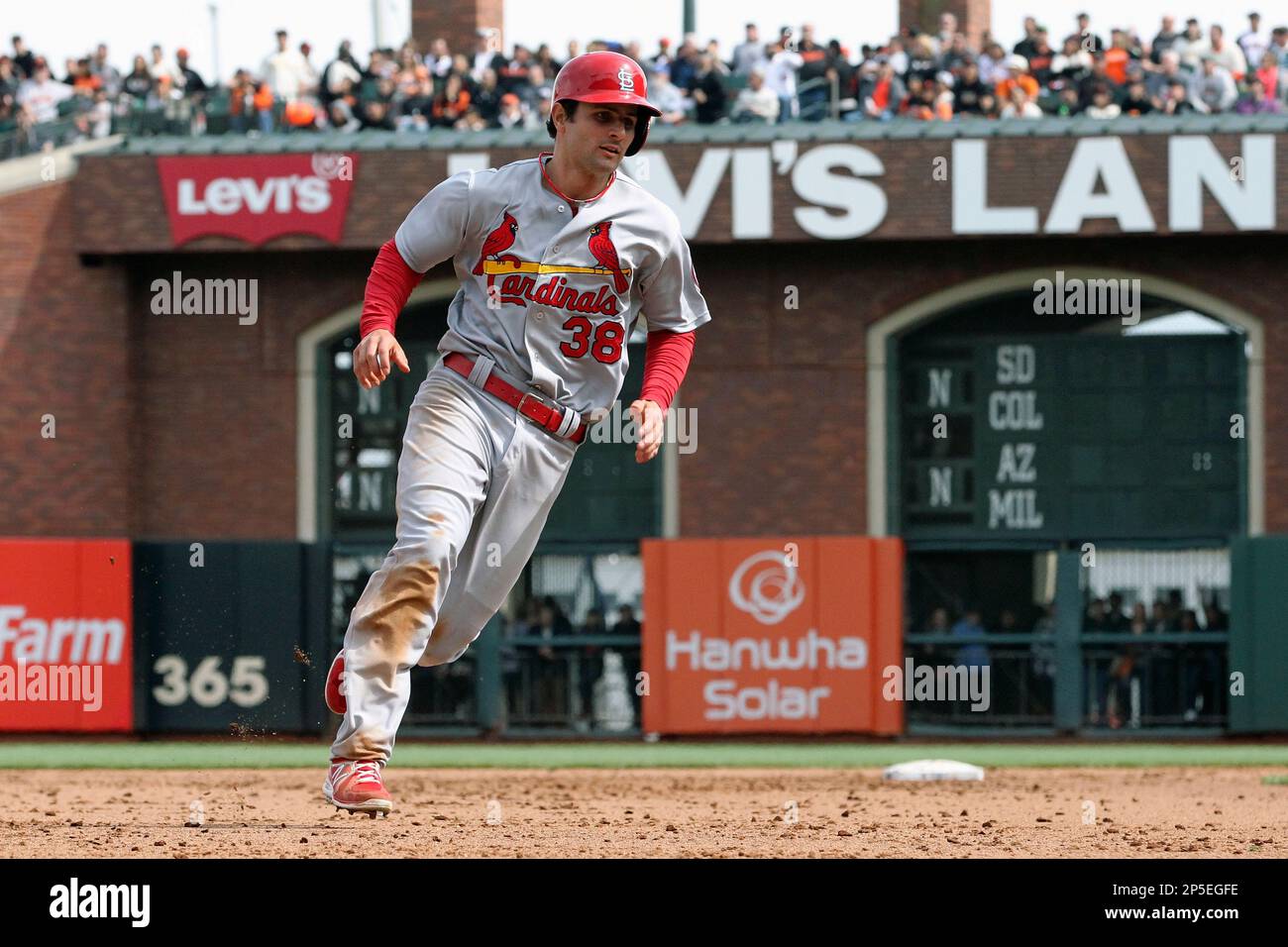St. Louis Cardinals second baseman Daniel Descalso (33) during an MLB ...