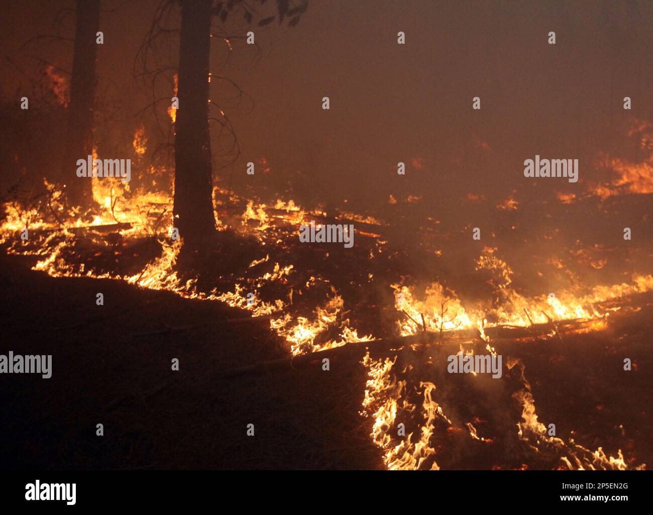 Cal Fire firefighters battle high winds and rough terrains in the ...