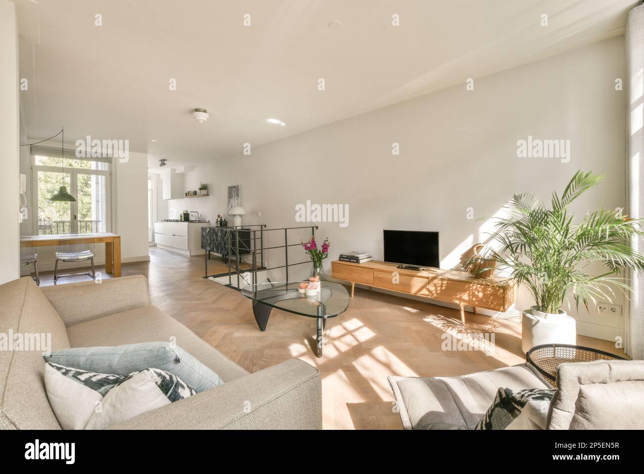a living room with couchs, coffee table, tv and plants in the center of ...