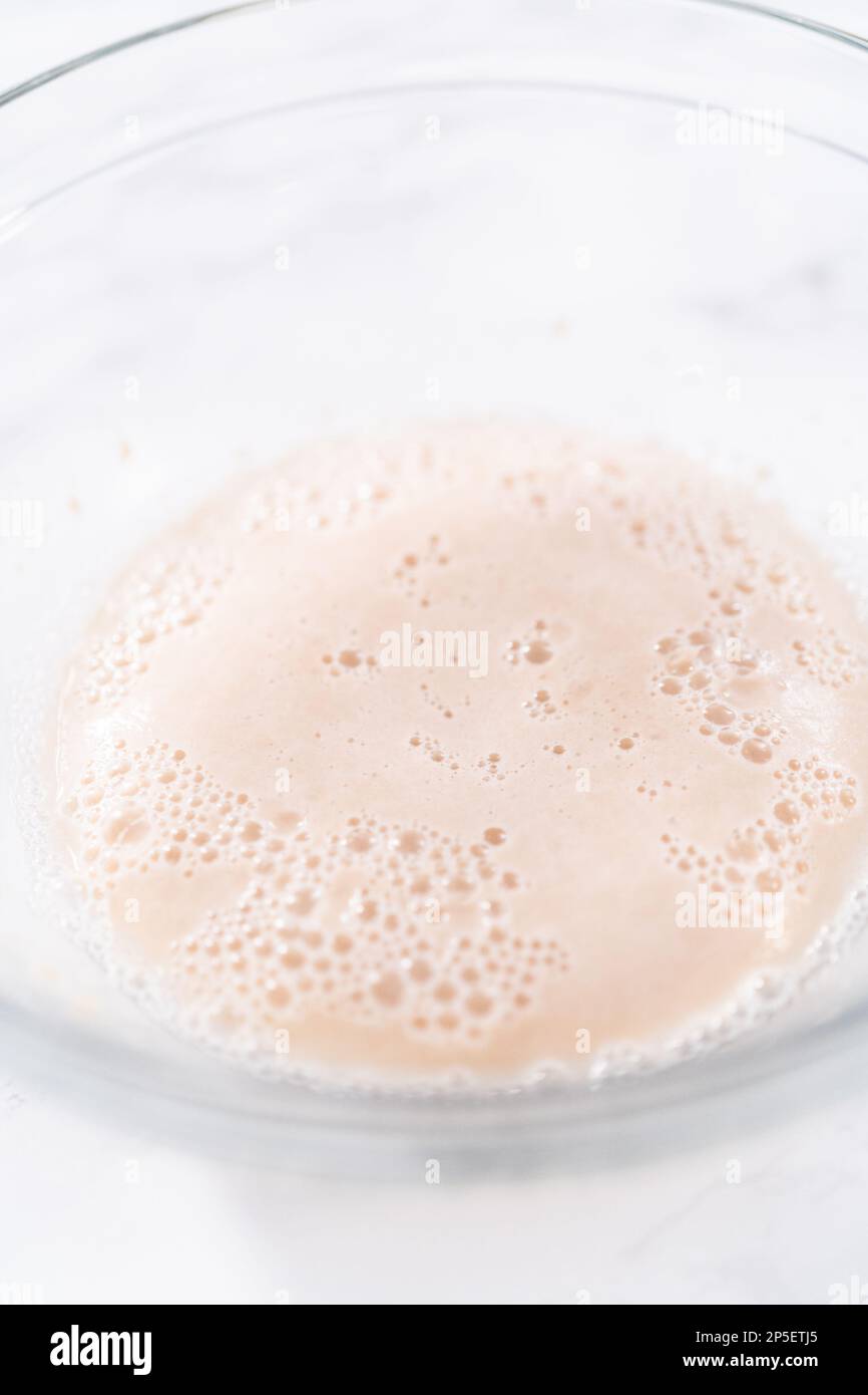 Activating dry yeast Stock Photo - Alamy