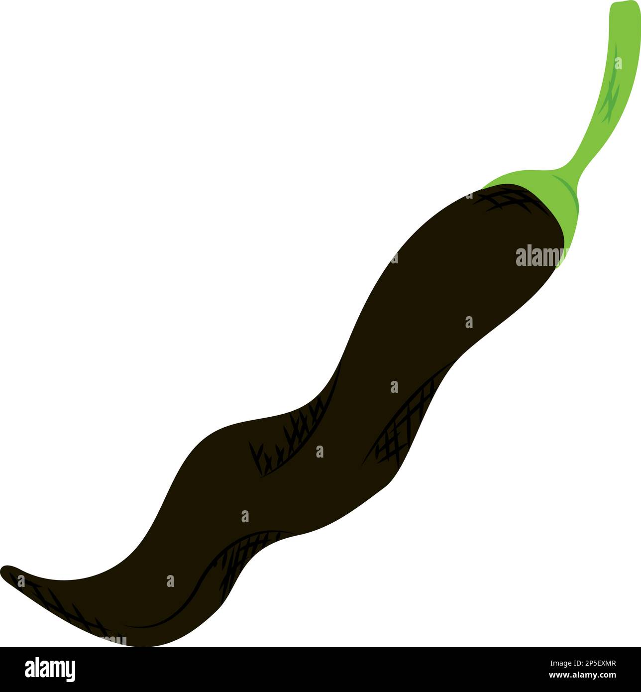 black chilli pepper vegetable Stock Vector Image & Art - Alamy