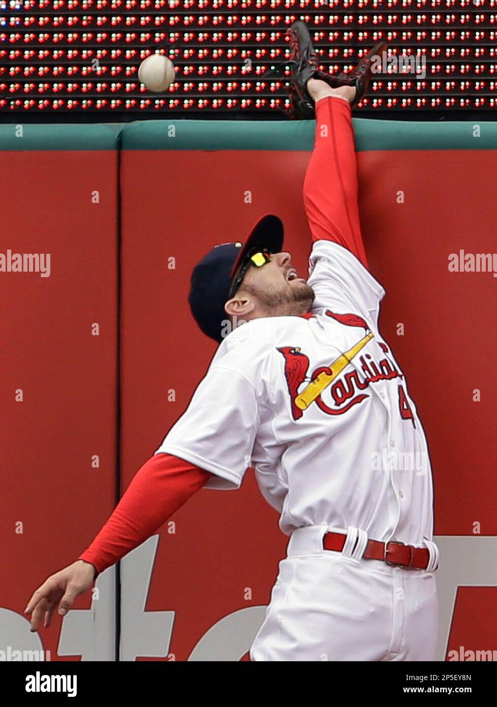 St. Louis Cardinals right fielder Shane Robinson cannot reach a ball ...