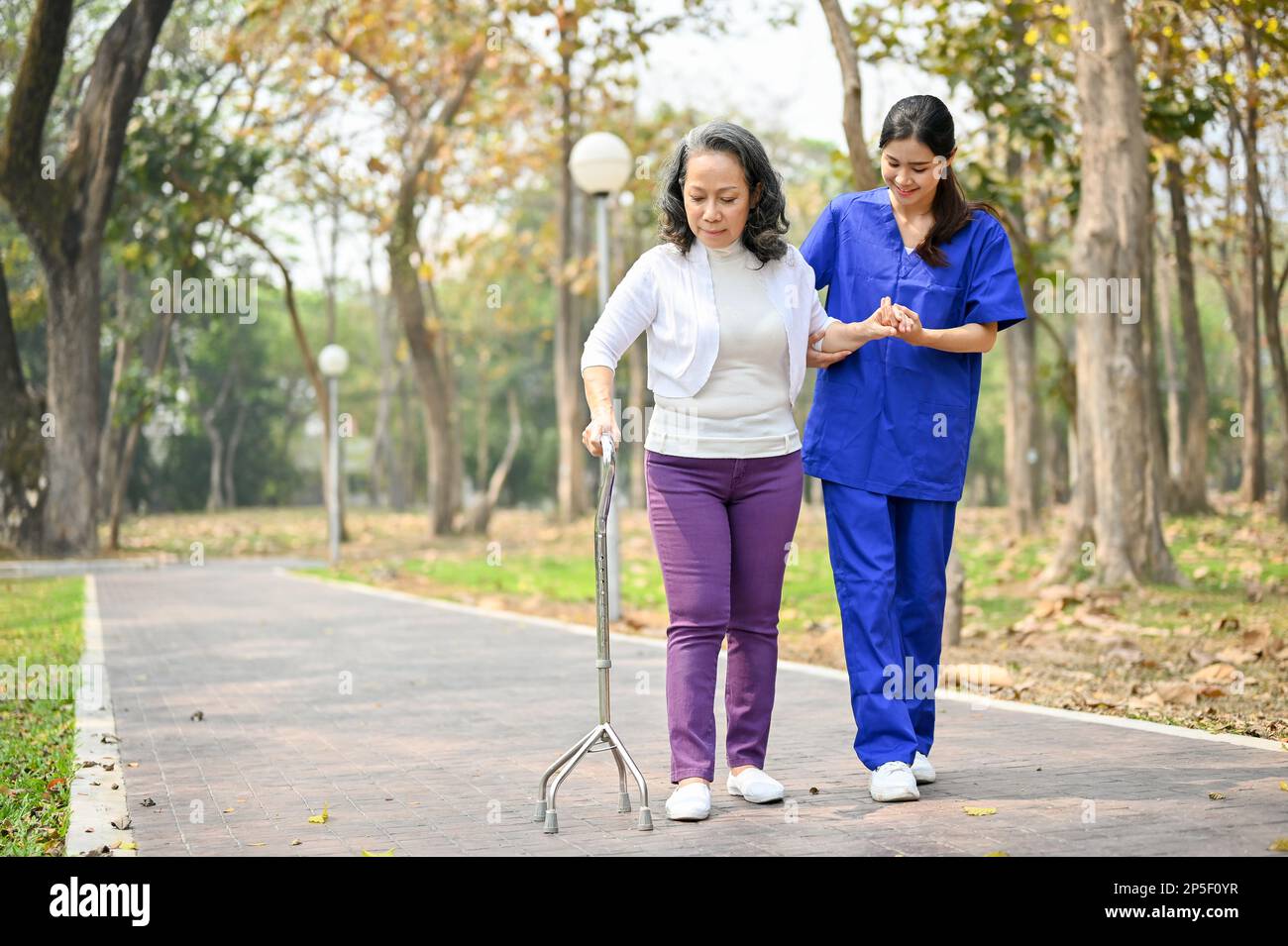 Caring and lovely young Asian female caregiver or nurse is helping an ...