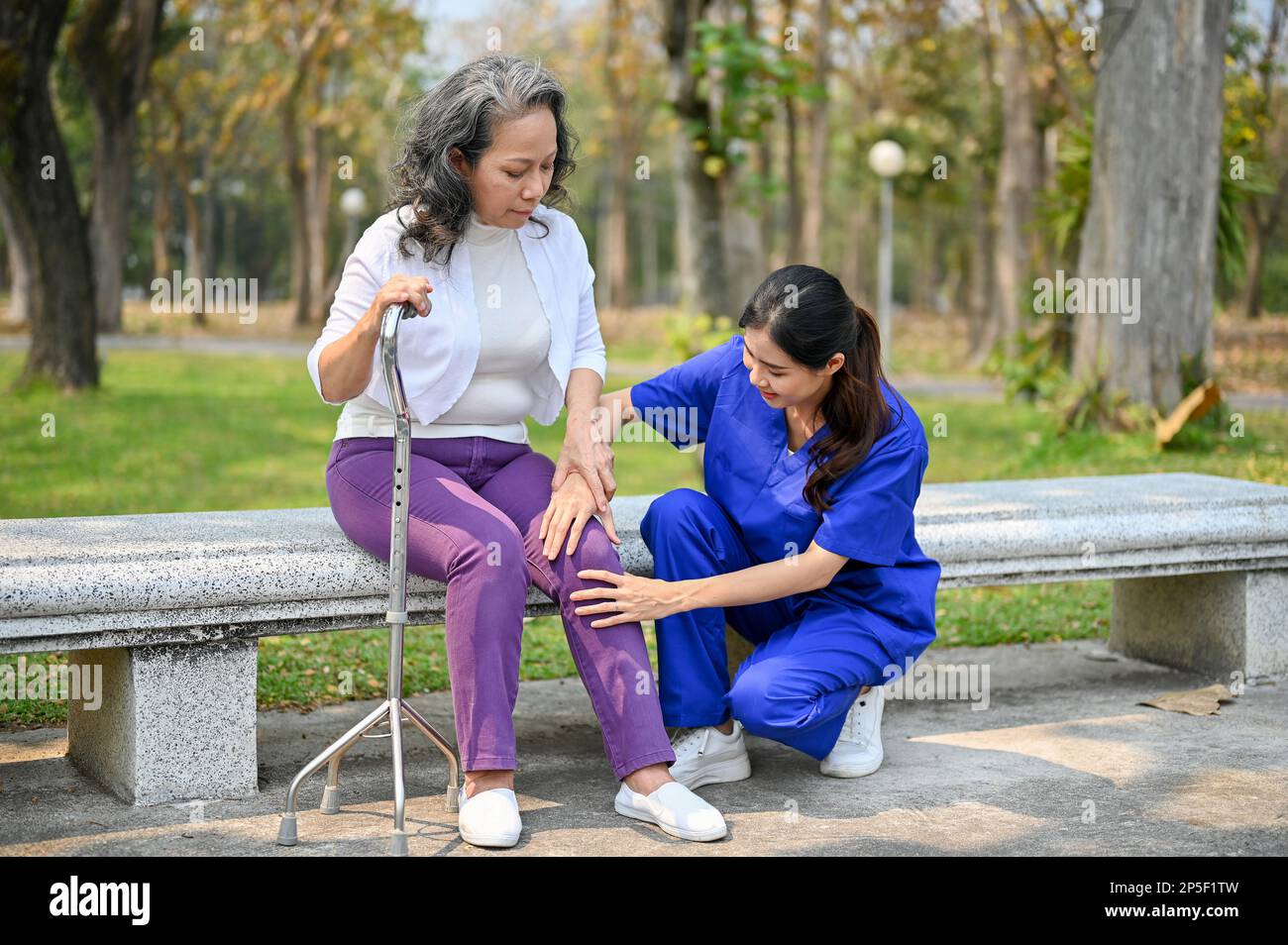 Caring Asian female nurse supports a disabled old lady while walking in ...