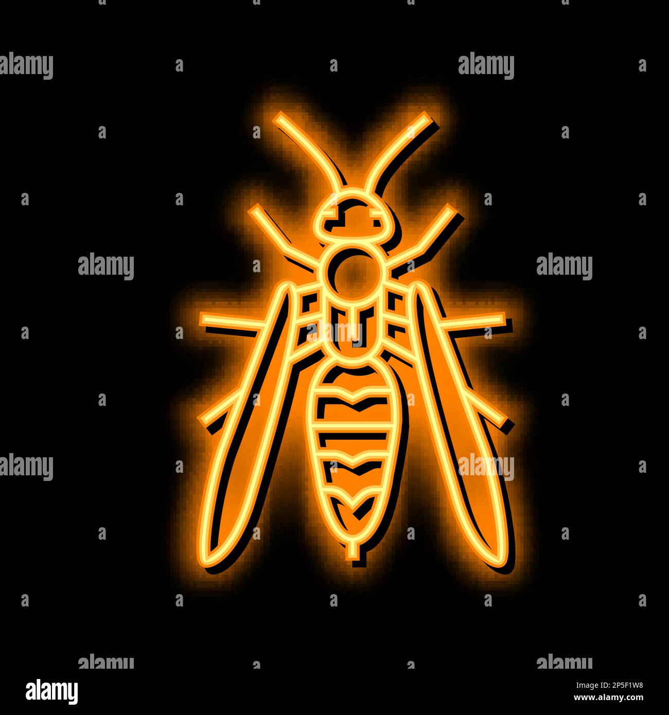 wasp insect neon glow icon illustration Stock Vector Image & Art - Alamy