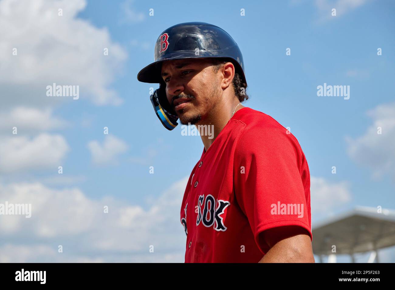 Boston Red Sox David Hamilton (80) during a spring training baseball ...
