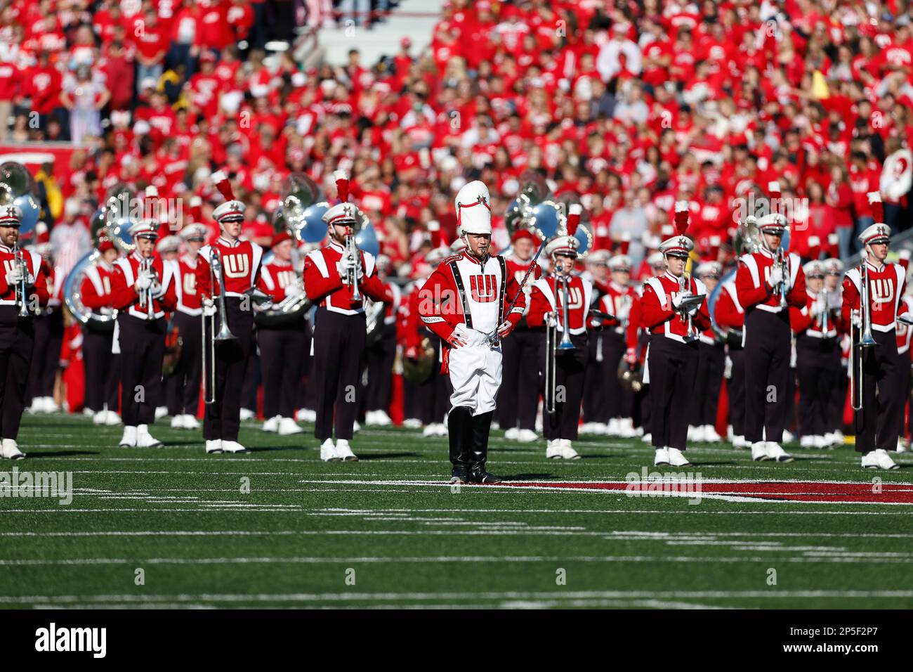 The Wisconsin Badgers marching band performs during a NCAA college ...