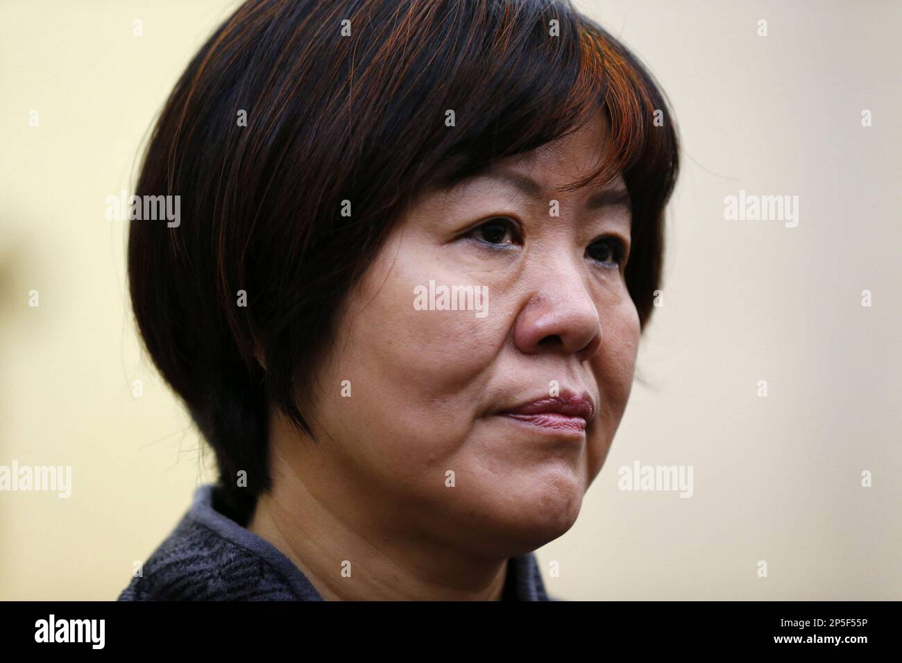 Lang Ping attends a press conference after appointed head coach of the ...