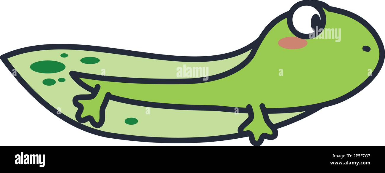 tadpole amphibian character Stock Vector Image & Art - Alamy