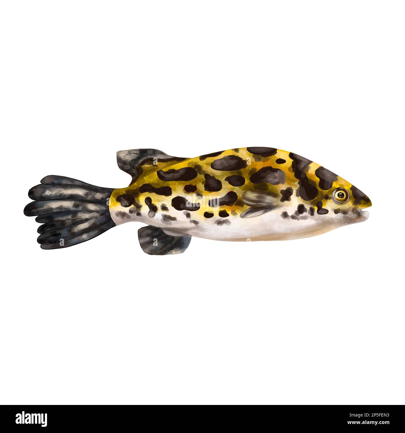 Life in the tropics Cut Out Stock Images & Pictures - Alamy