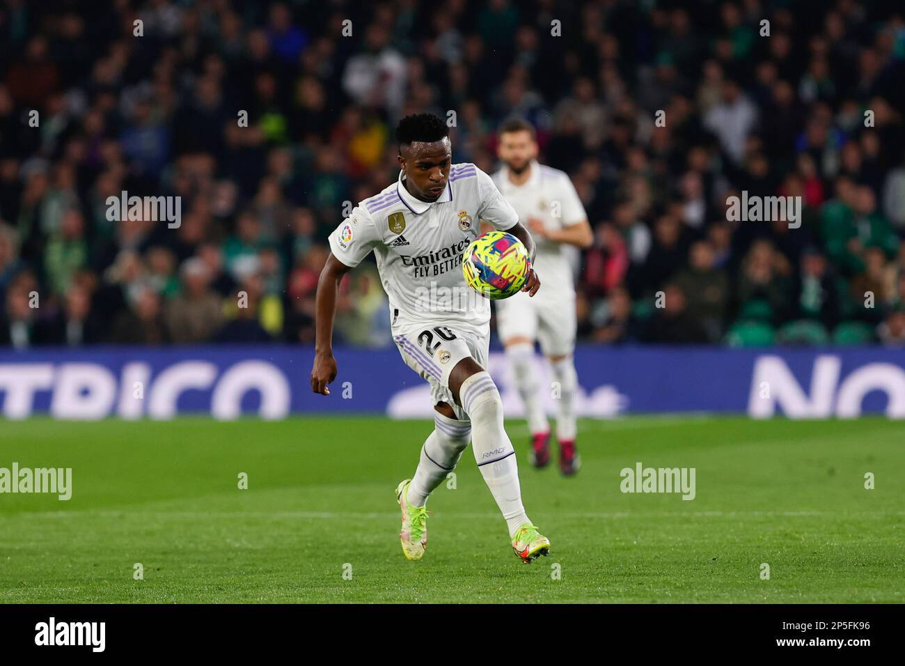 Vini junior hi-res stock photography and images - Alamy