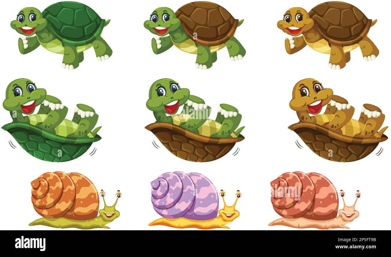 Set of turtle and snail cartoon character illustration Stock Vector ...