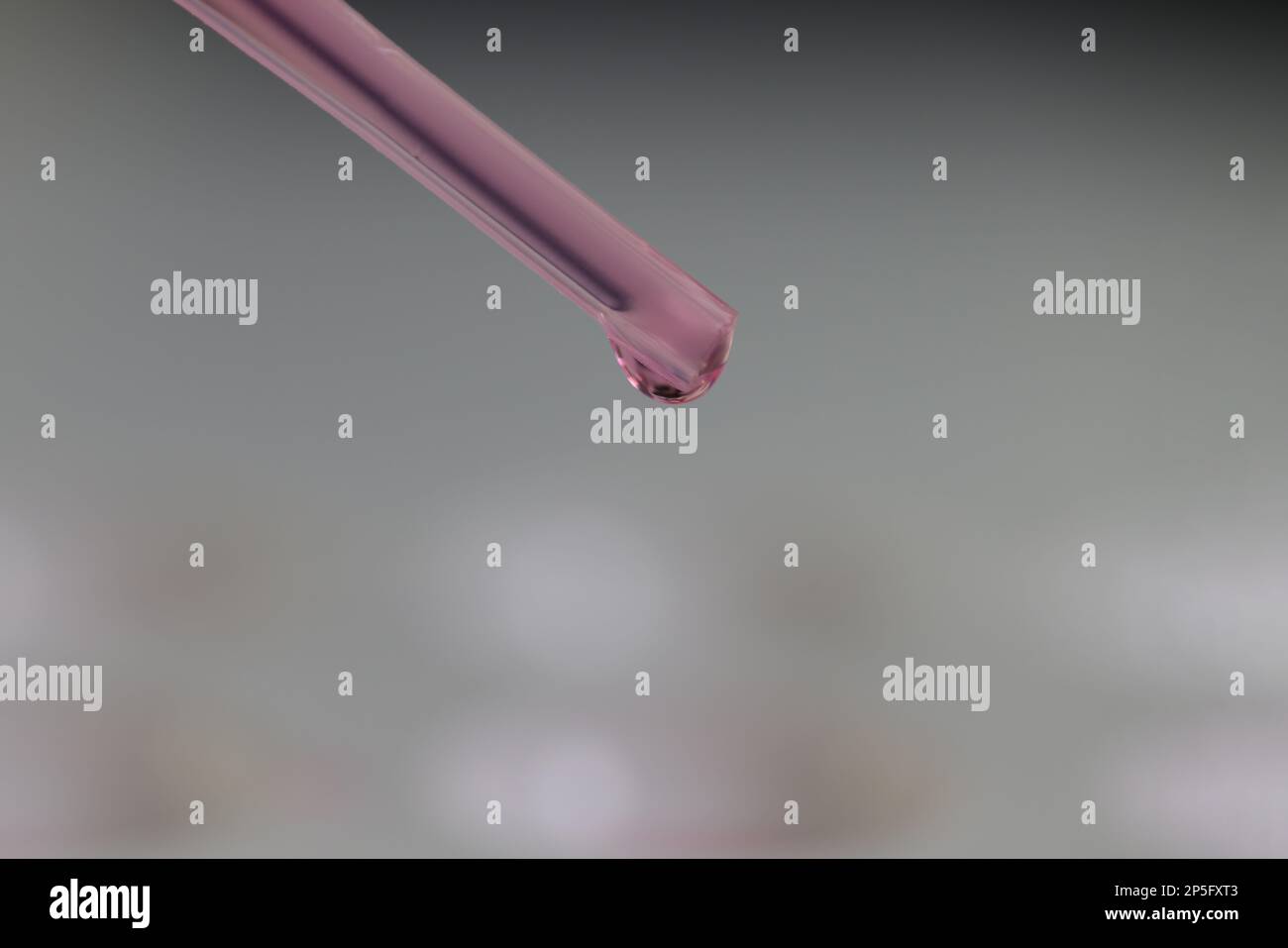 Glass pipette with purple liquid and drop on gray background Stock ...