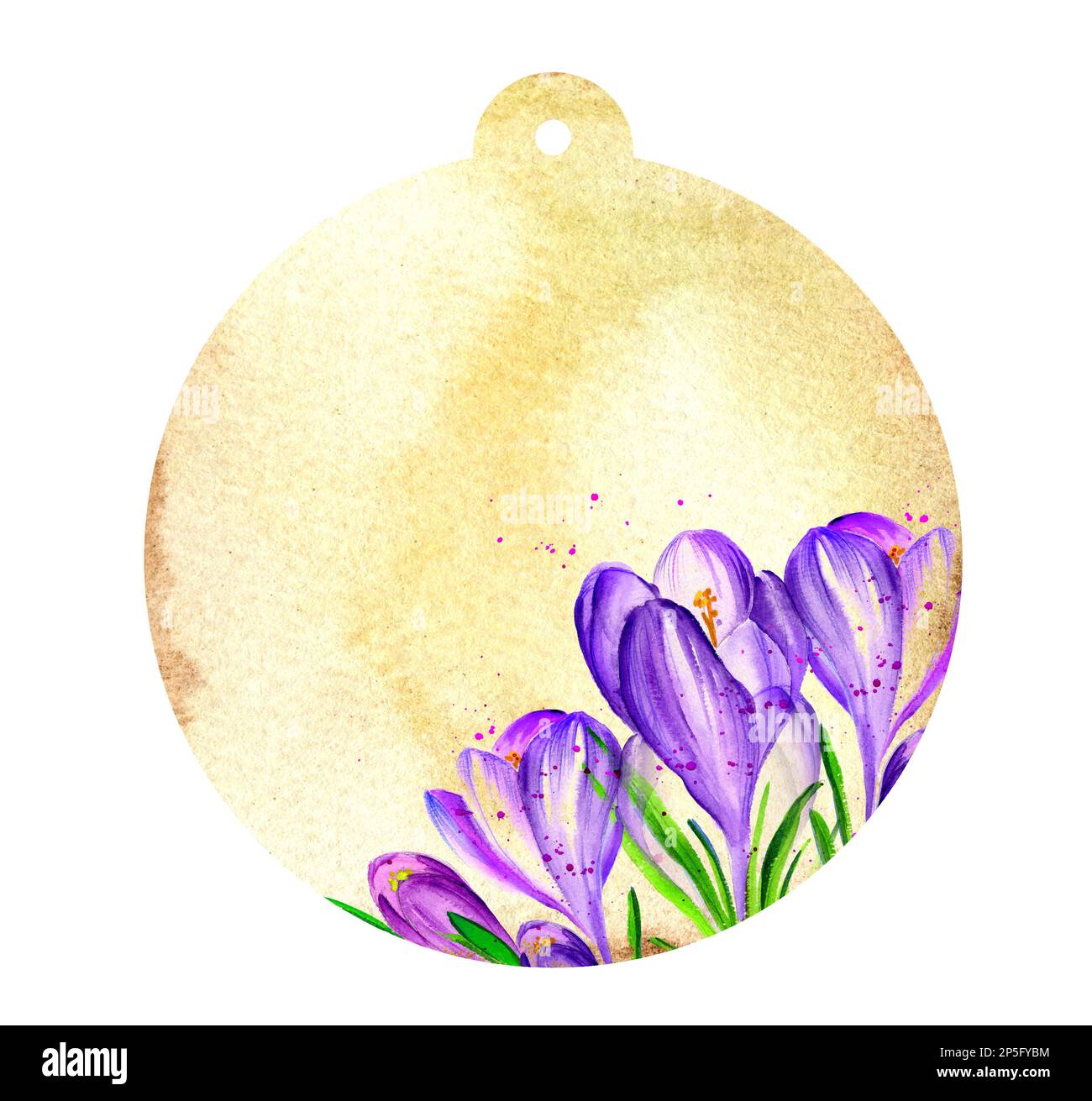 Watercolour round beige label with lilac crocuses, spring flowers, old ...