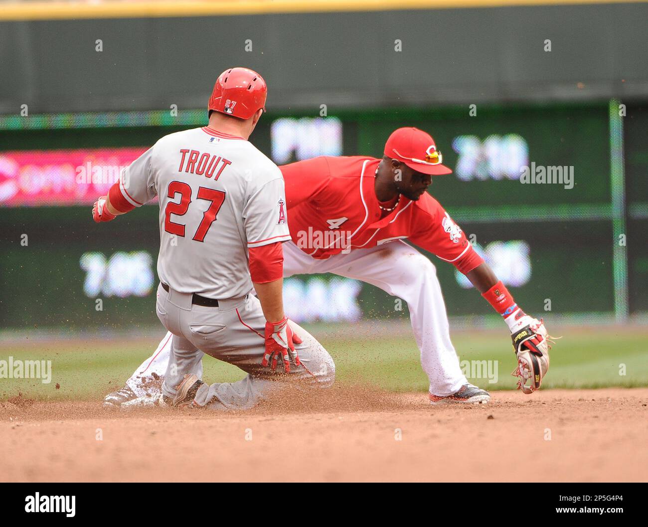 Cincinnati Reds Brandon Phillips (4) in action during a game against ...