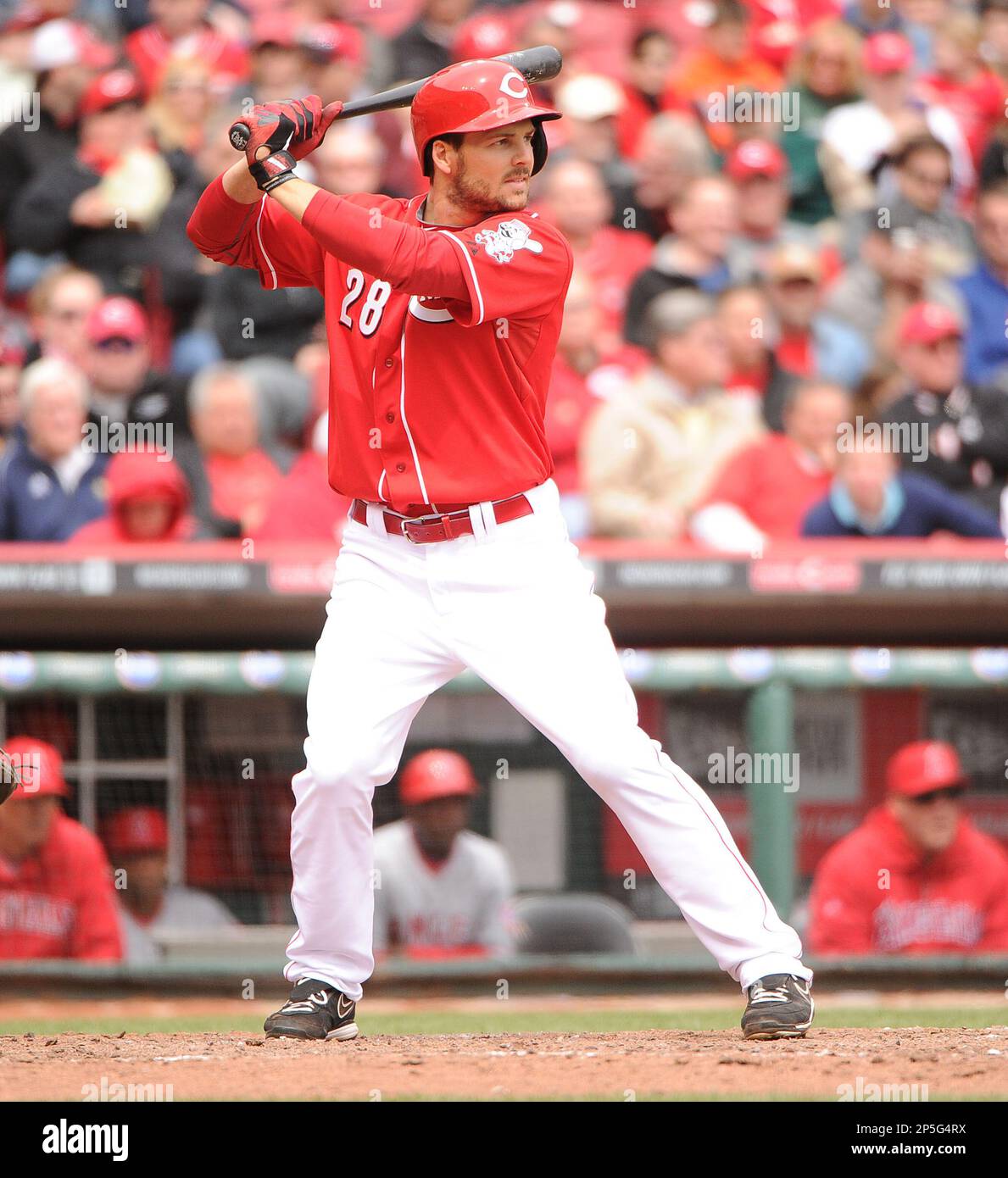 Cincinnati Reds Chris Heisey (28) in action during a game against the ...
