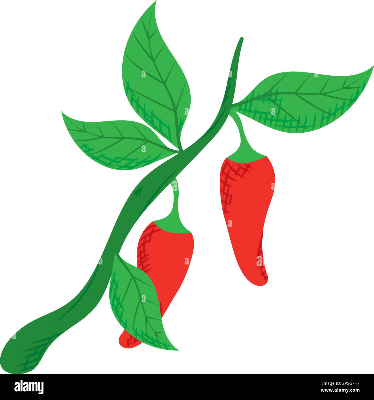 Chilli leaves Stock Vector Images - Alamy