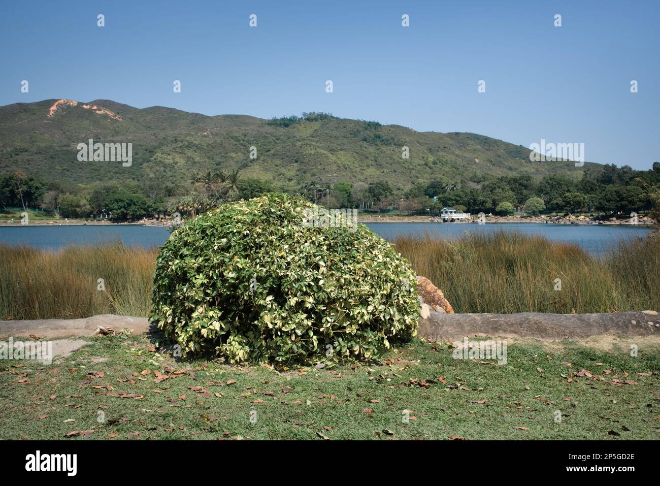 Inspiration Lake in Hong Kong Stock Photo - Alamy