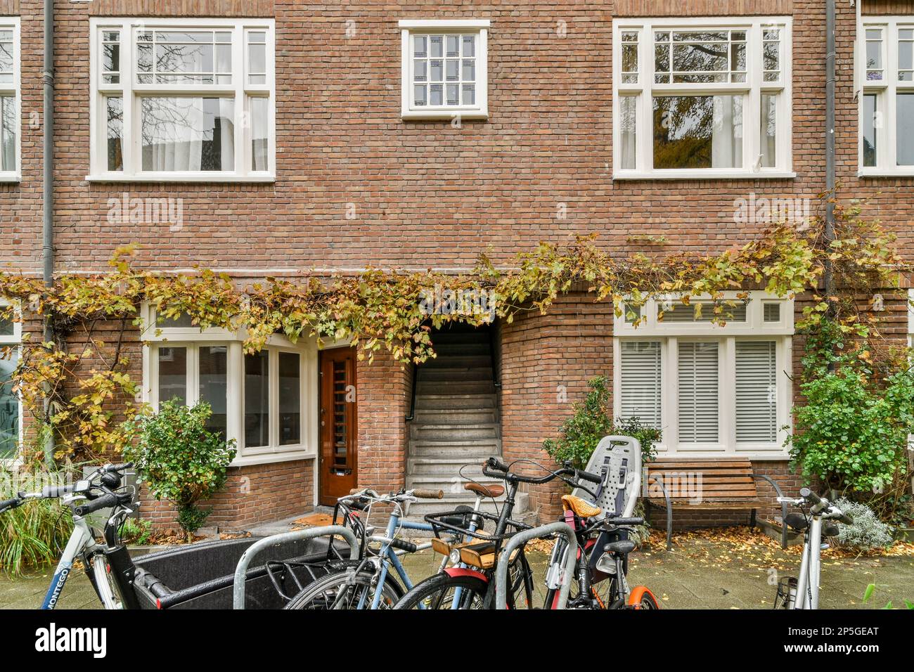 Vines growing on side building hi-res stock photography and images - Alamy