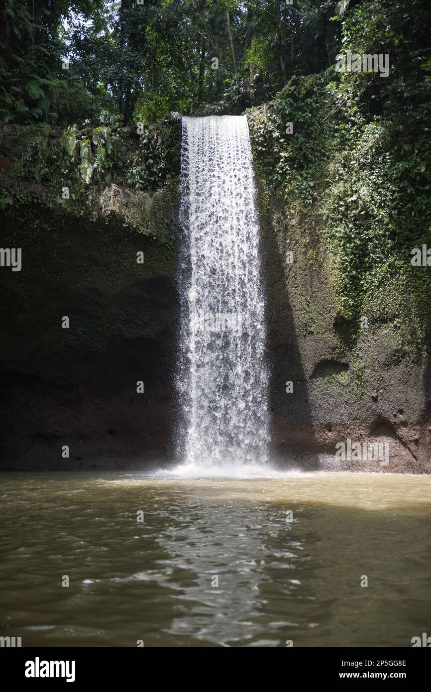 Shot of Tibumana waterfall in Bali surrounded by rainforest and flowing ...