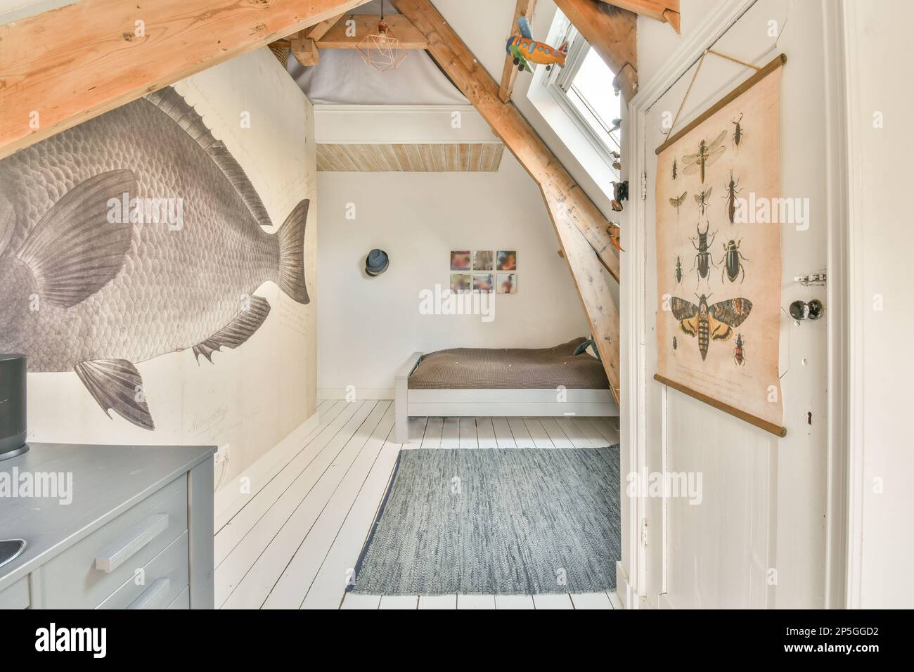 a fish hanging on the side of a wall in a room with white walls and ...