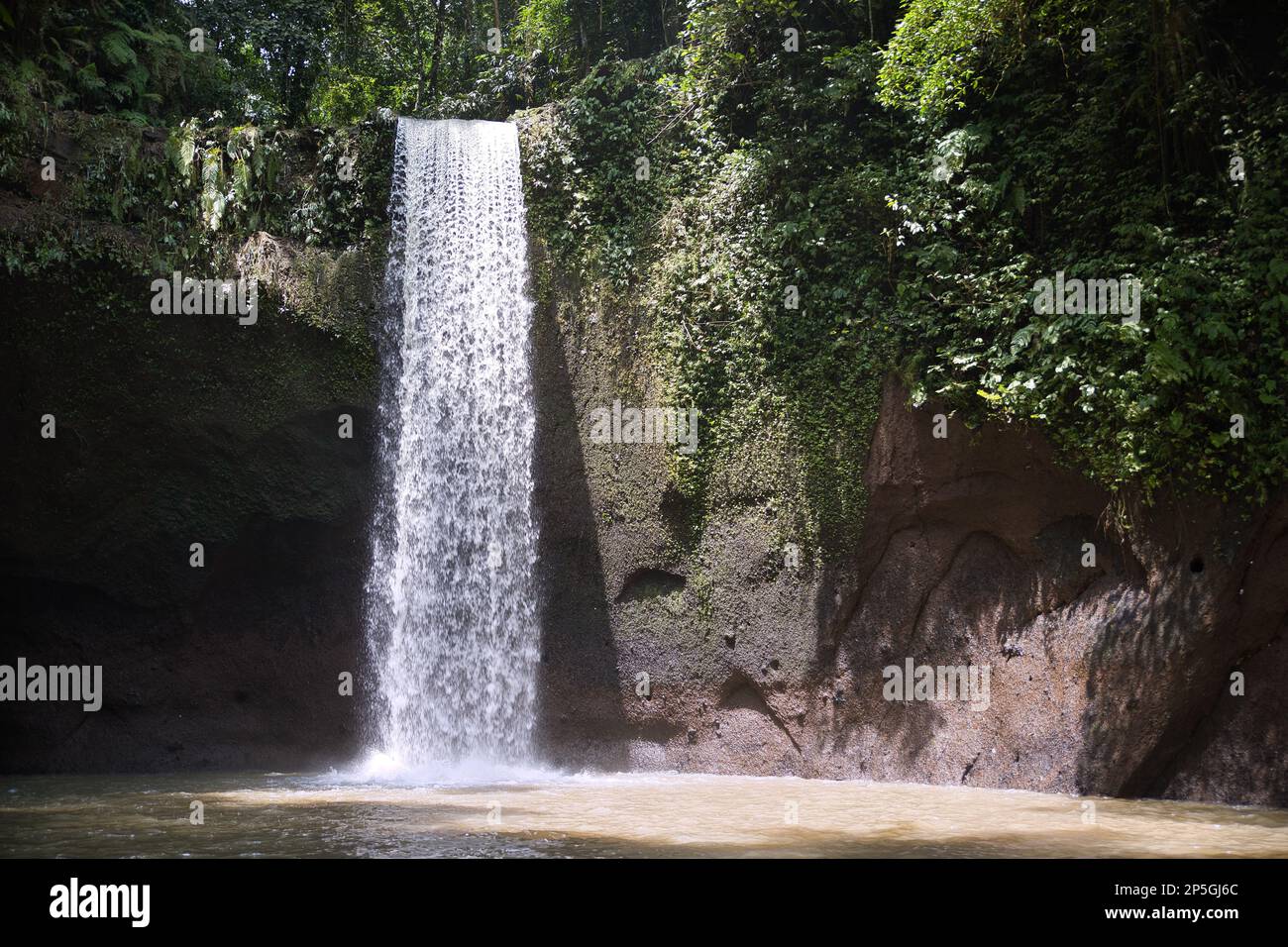Shot of Tibumana waterfall in Bali surrounded by rainforest and flowing ...