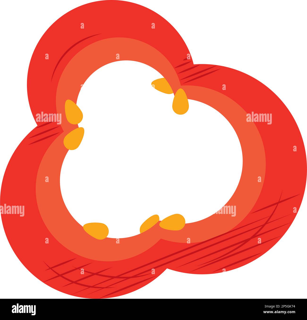 red chilli pepper slice Stock Vector Image & Art - Alamy