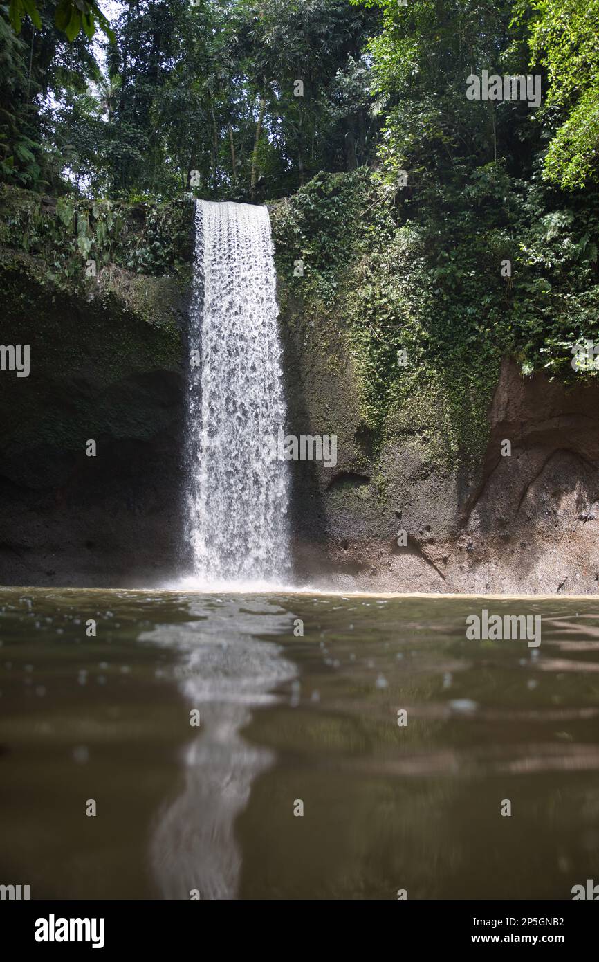 Shot of Tibumana waterfall in Bali surrounded by rainforest and flowing ...