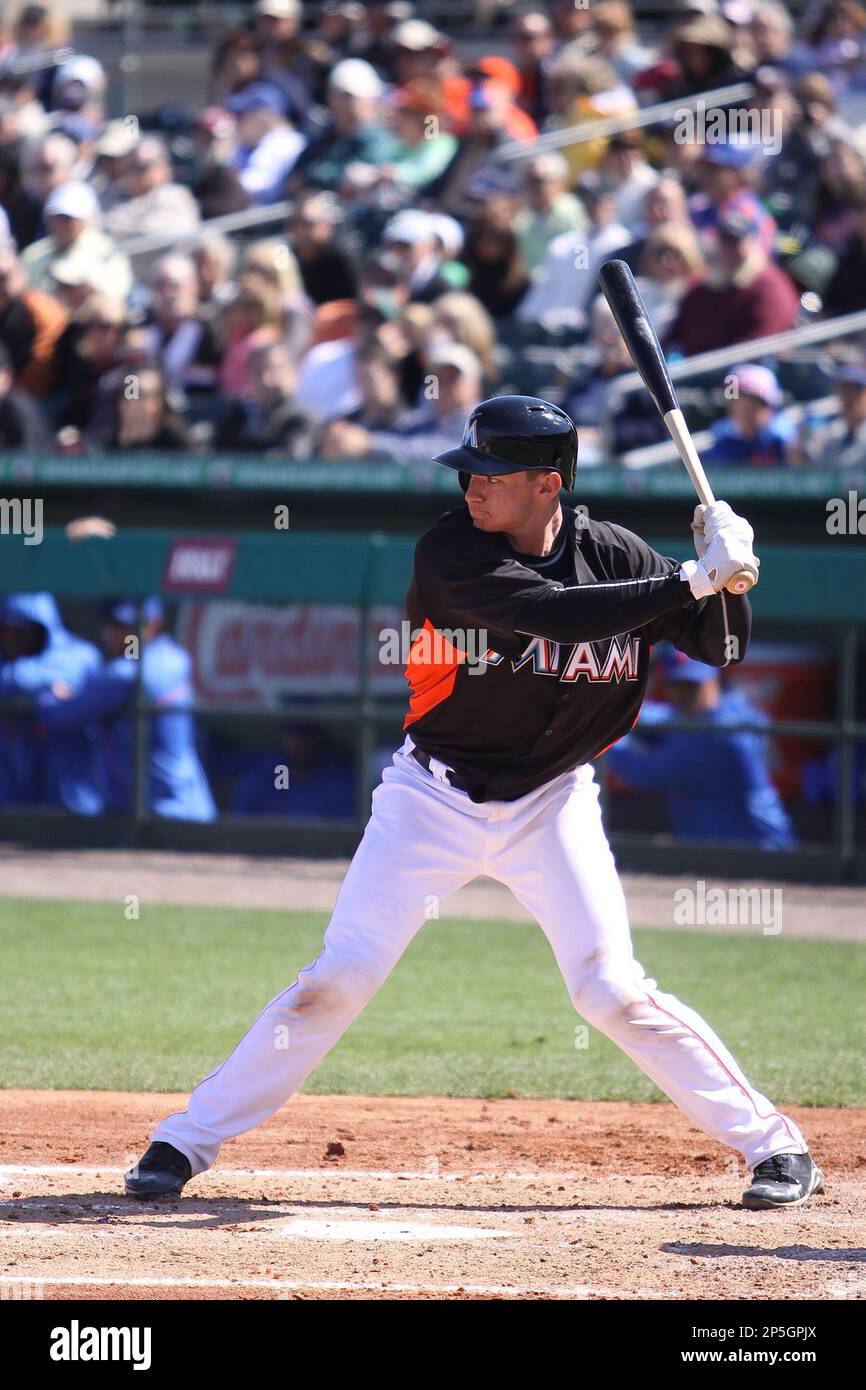 Miami Marlins Rob Brantly (19) at bat against the New York Mets during ...