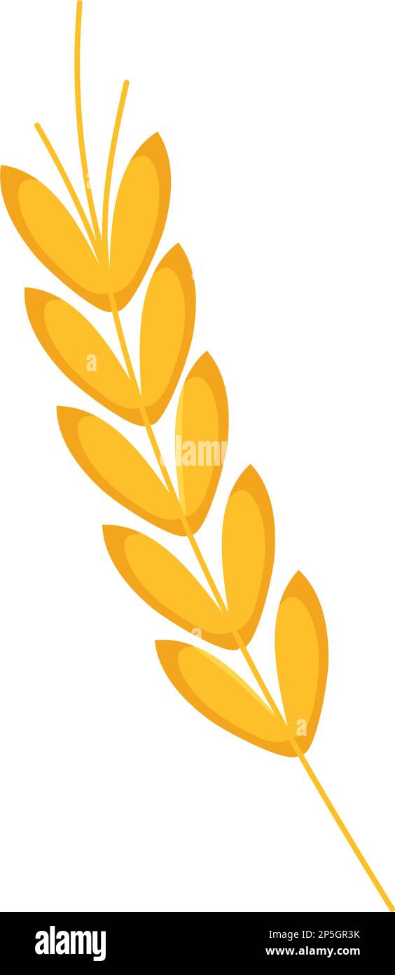 golden wheat spike Stock Vector Image & Art - Alamy