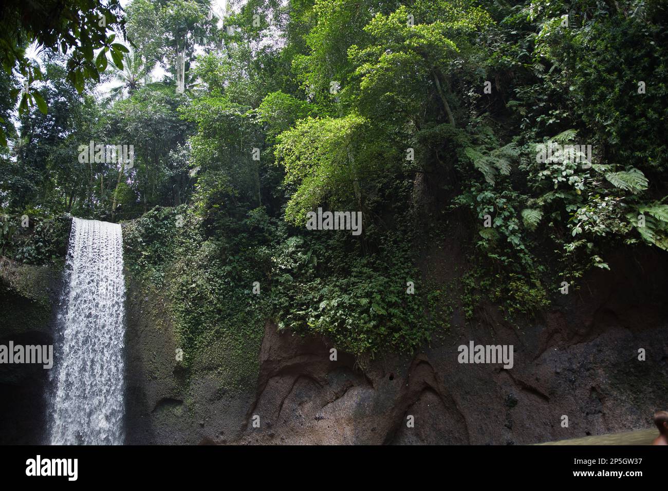 Photo of Tibumana waterfall in Bali surrounded by sunlit rainforest ...