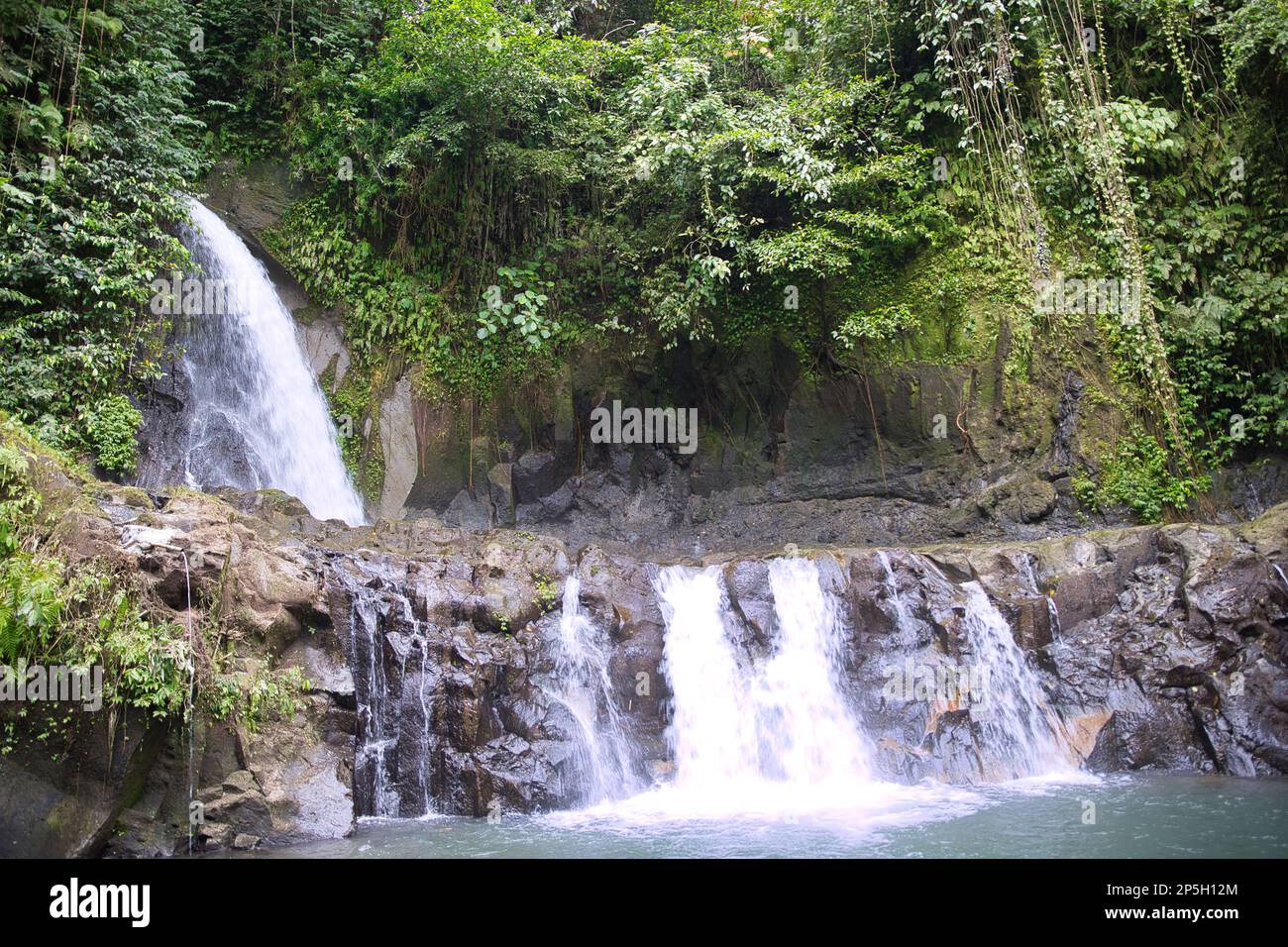 Shot of Taman Sari waterfall on Bali taken from below surrounded by ...