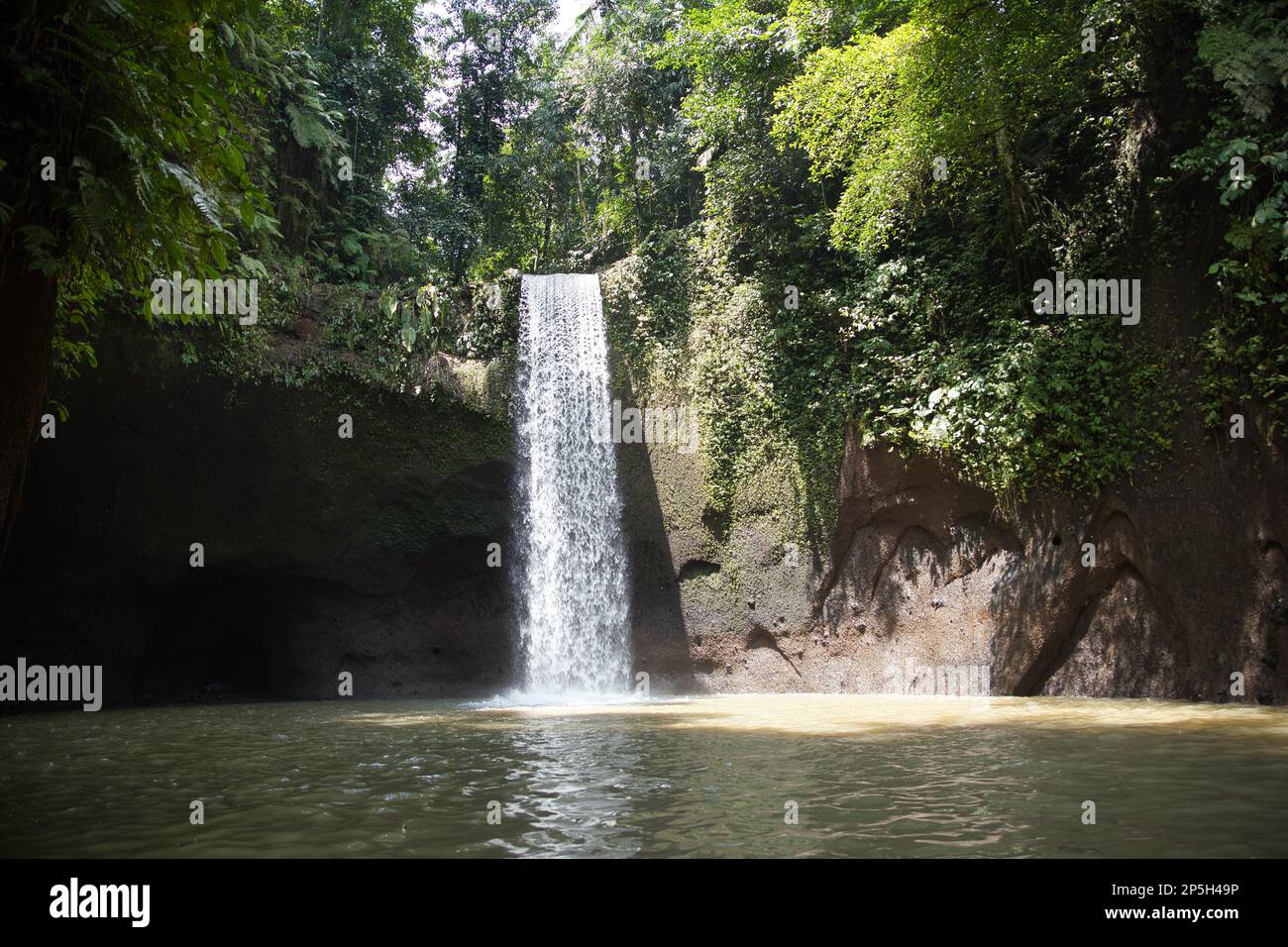 Shot of Tibumana waterfall in Bali surrounded by rainforest and flowing ...