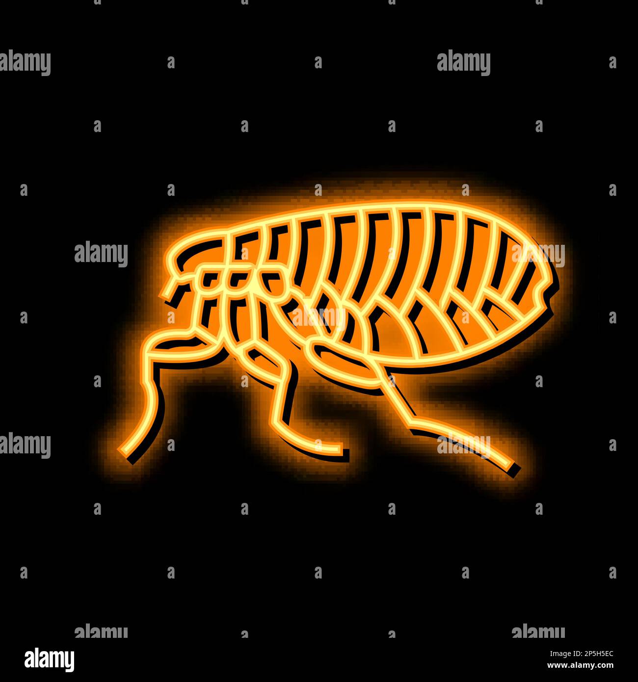 flea insect neon glow icon illustration Stock Vector Image & Art - Alamy