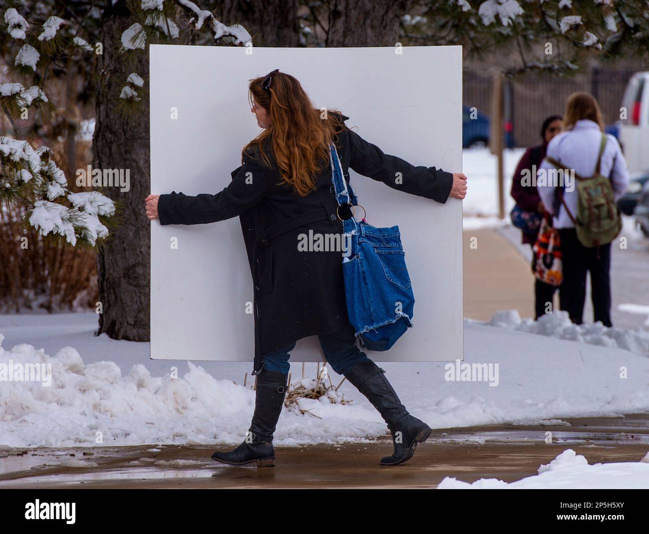 Heather Shepler of Pekin frames herself in her own two-dimensional ...