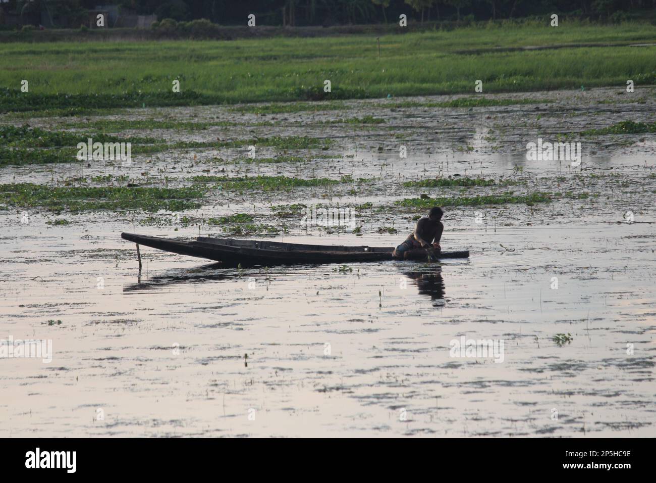 Trying to catch fish and shrimp hi-res stock photography and images - Alamy