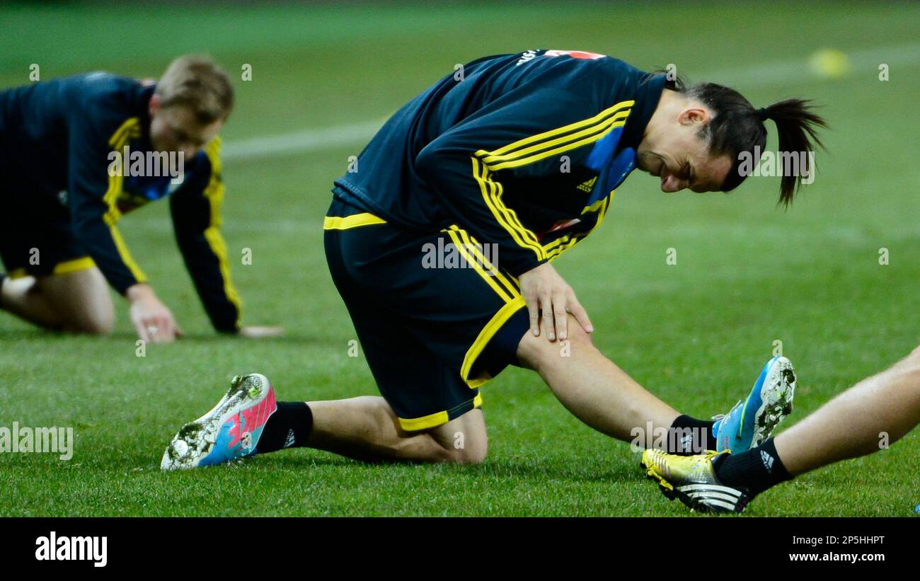 Zlatan Ibrahimovic stretches during a training session by the Swedish ...