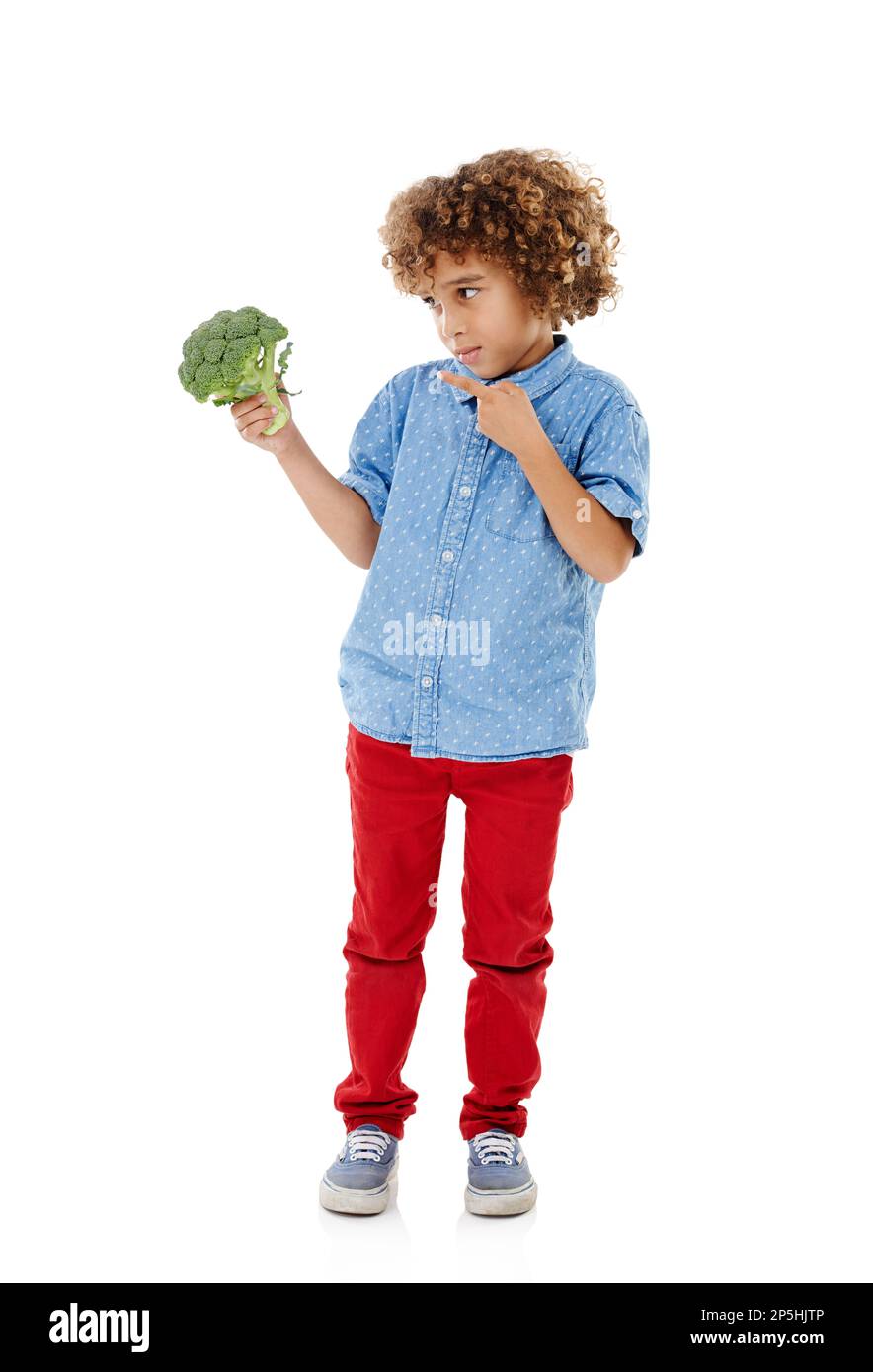 This town aint big enough for the both of us. Studio shot of a cute ...