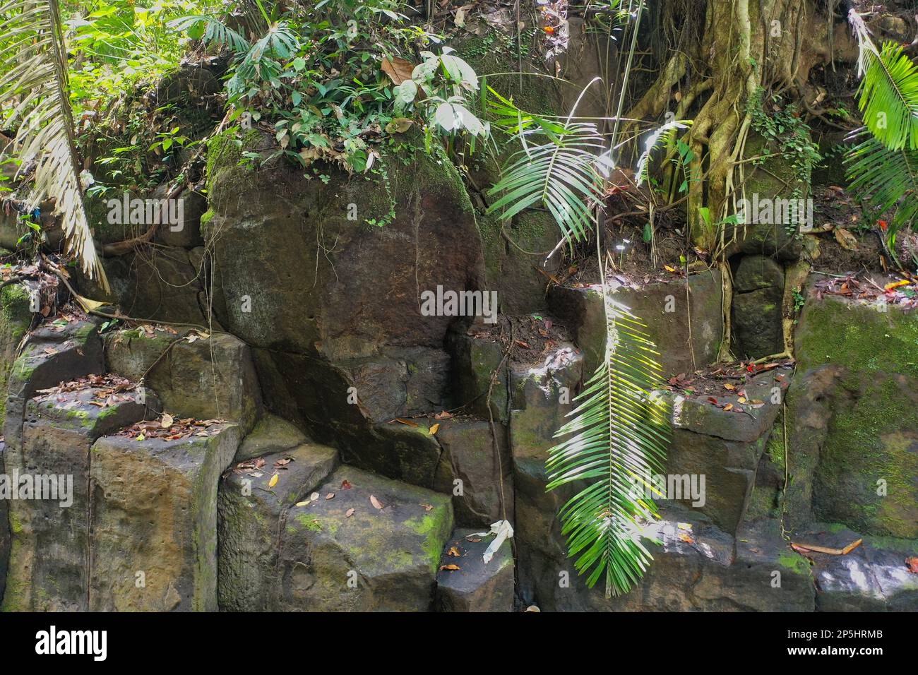 High cliffs overgrown green hi-res stock photography and images - Alamy
