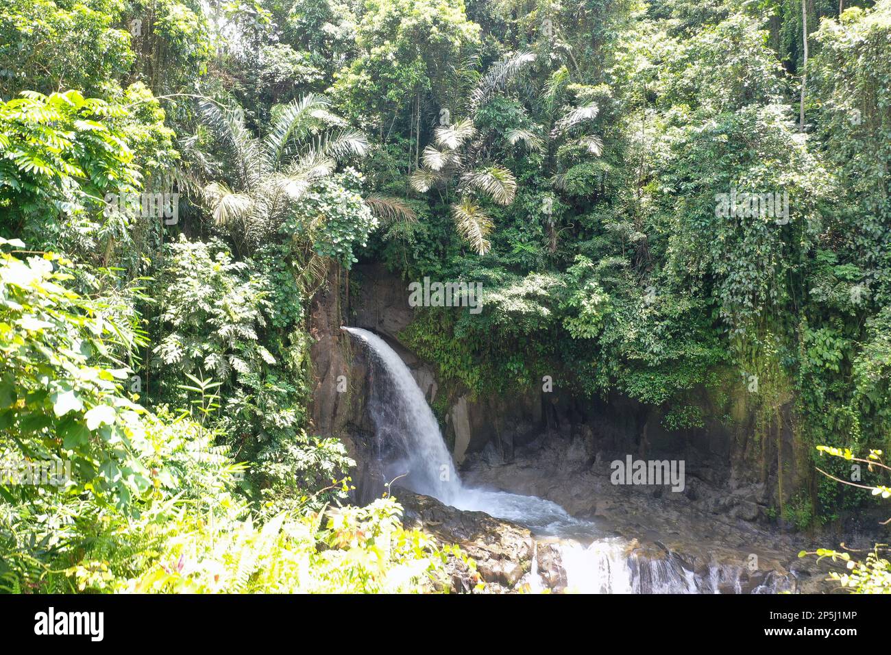 Shot of Taman Sari waterfall on Bali taken from above surrounded by ...