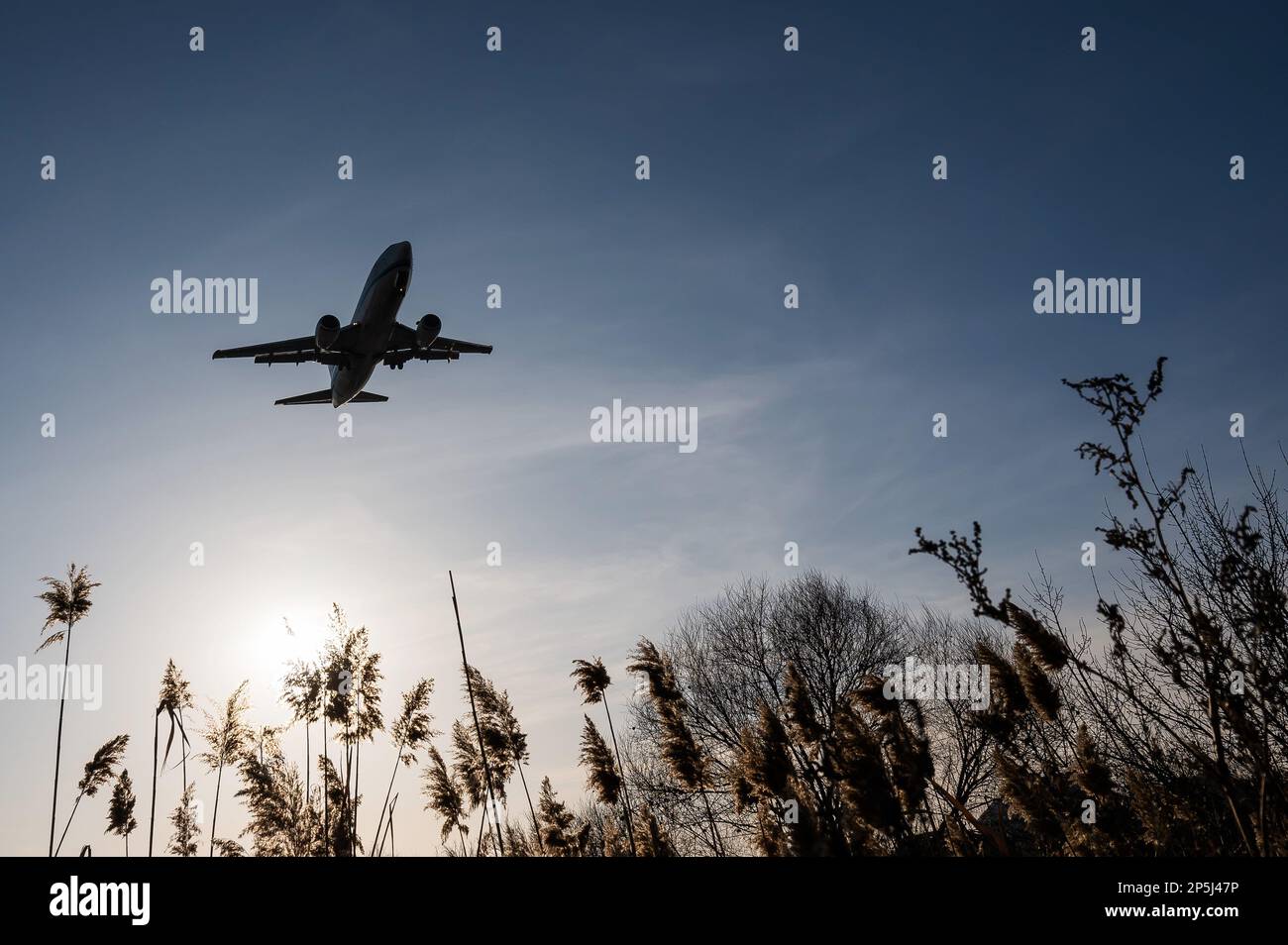 Ground view of a landing plane against a blue sky Stock Photo - Alamy