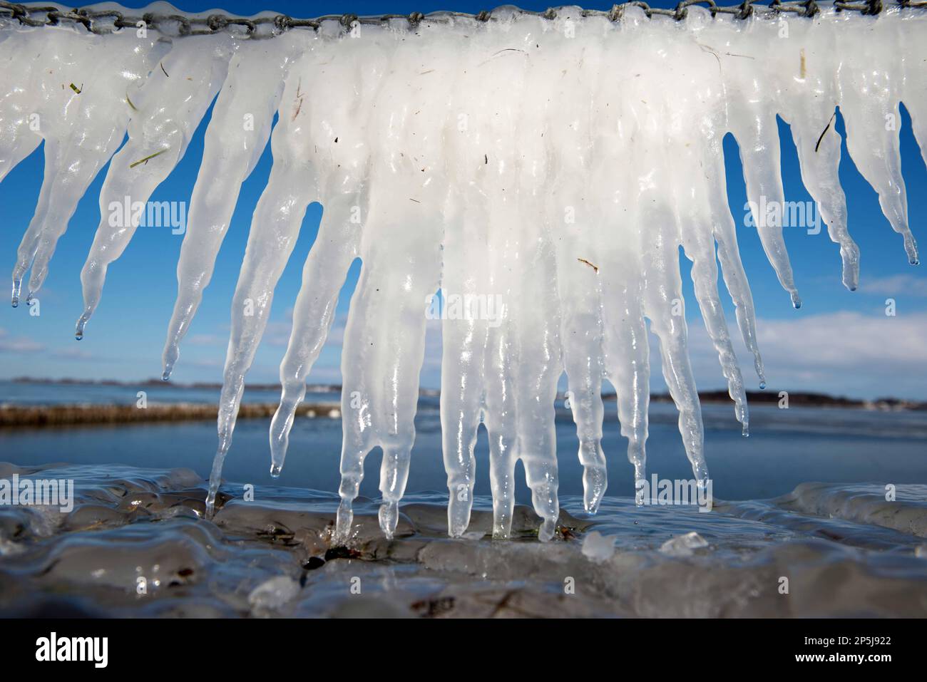 Icicles at a chain photographed at the Baltic Sea harbour of Stralsund ...