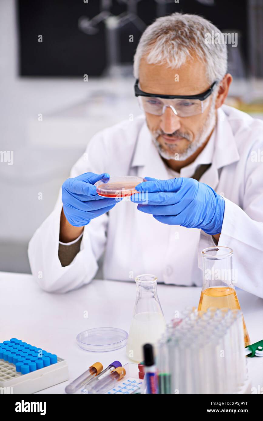 He doesnt miss a thing. a male scientist examining the contents of a ...