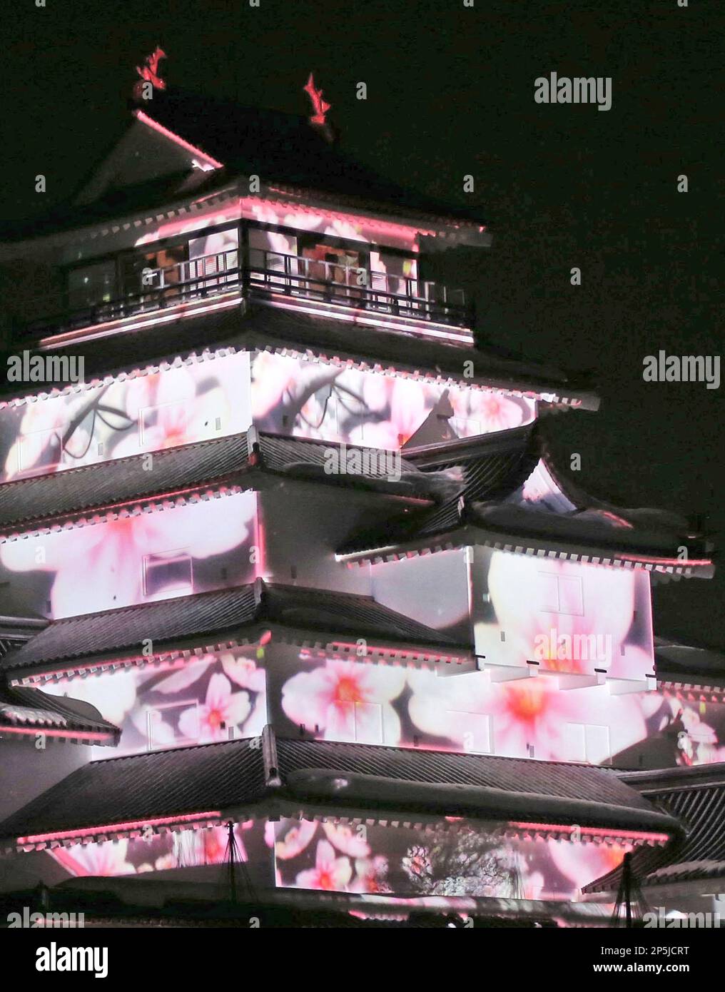 An image of cherry blossom reflects walls of Tsuruga Castle by 3D ...