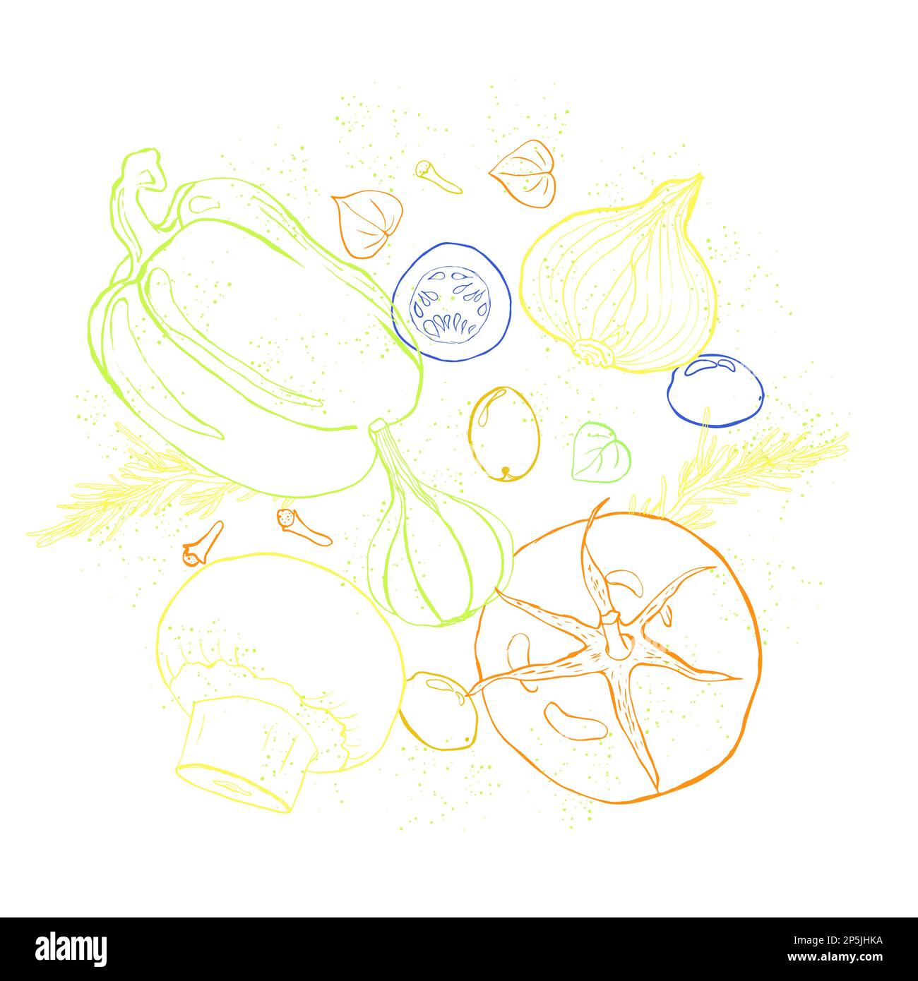 Vegetables sketch art illustration circle flatl lay vector Stock Vector ...