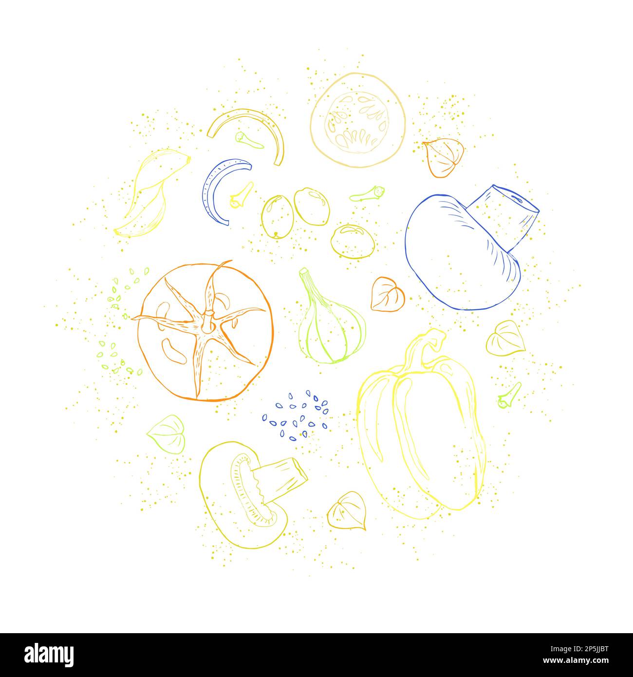 Vegetable line art sketch circle composition vector Stock Vector Image ...