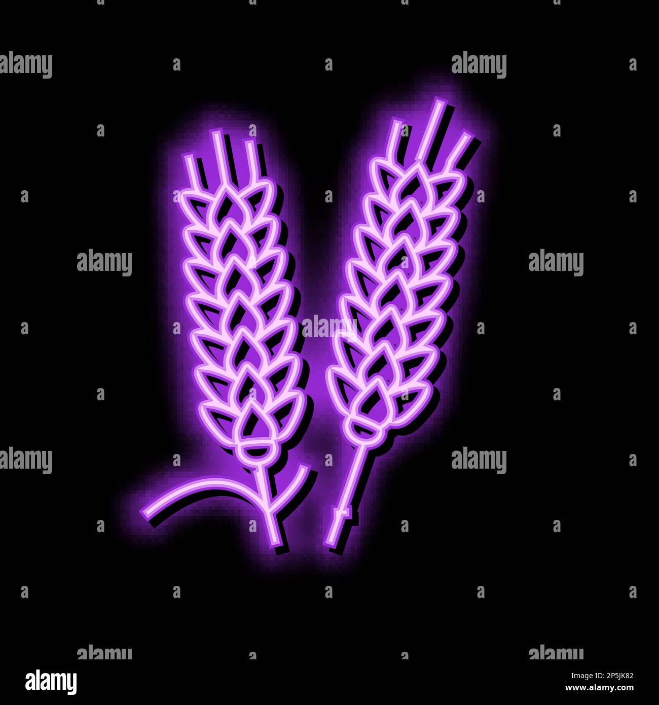 ear barley grain neon glow icon illustration Stock Vector Image & Art ...