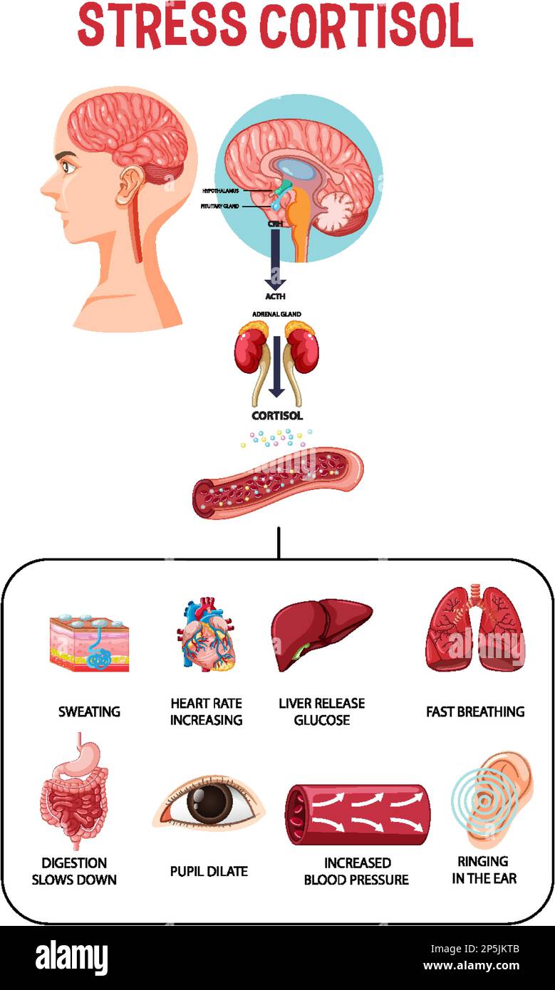 Response Science Diagram Pic