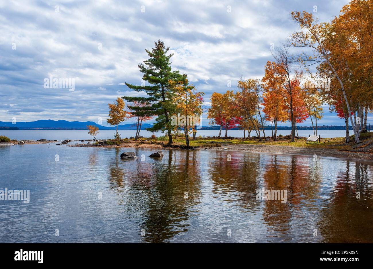 Grove of trees in fall colors, lining the shore on Moosehead Lake. Peak ...